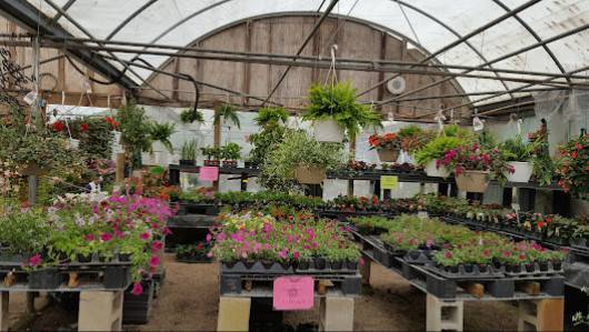 Open Air Garden Center Greenhouses Warsaw Indiana Garden Haven